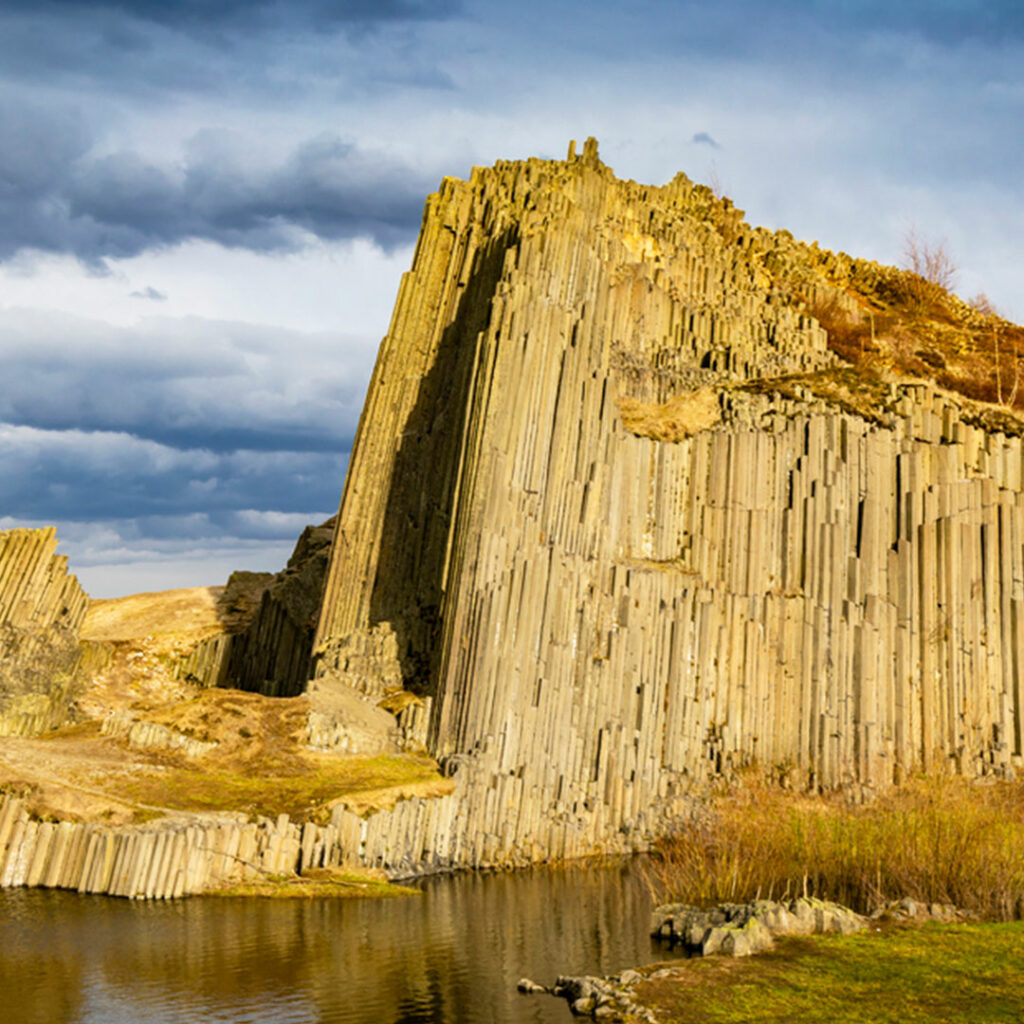 Minerals: The Food of Plants - FYTA Magazine